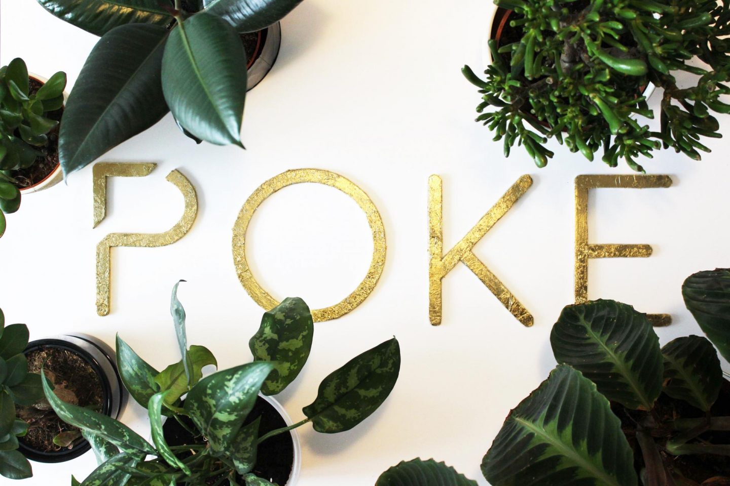 Veliki pok kreativnosti - Poke Studio - Goodlife Style